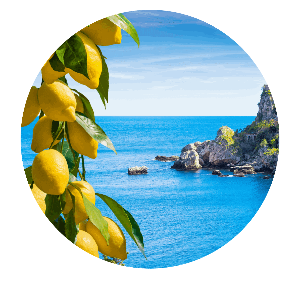 Refresh Your Space with Lemon Scented Tissue - Nicky Tissue