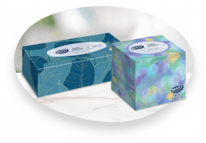 Hand Towels for Hygienic and Efficient Drying | Nicky Tissue