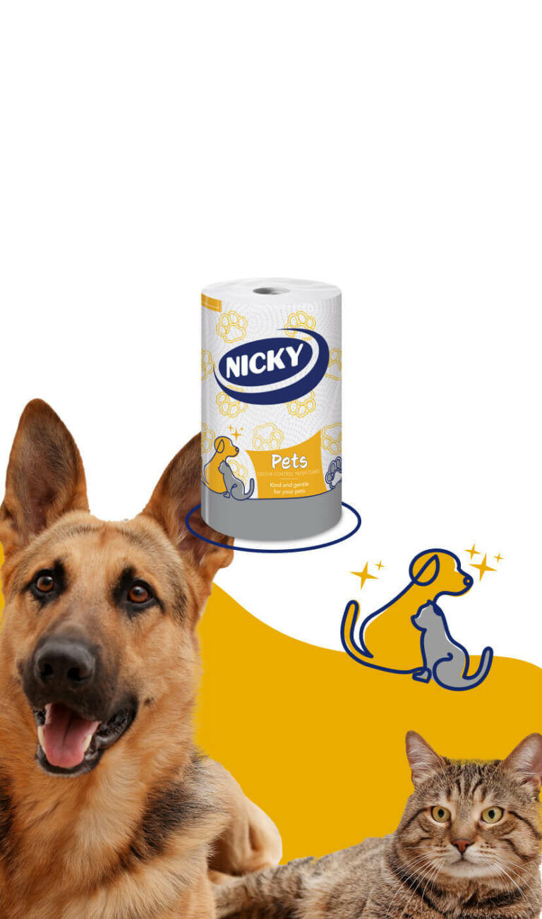 Premium Tissue Products for Every Need - Nicky Tissue